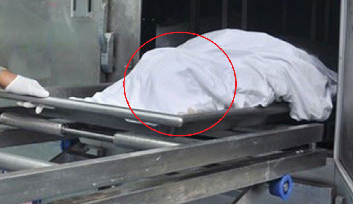 Contoh Surat Pengesahan SST